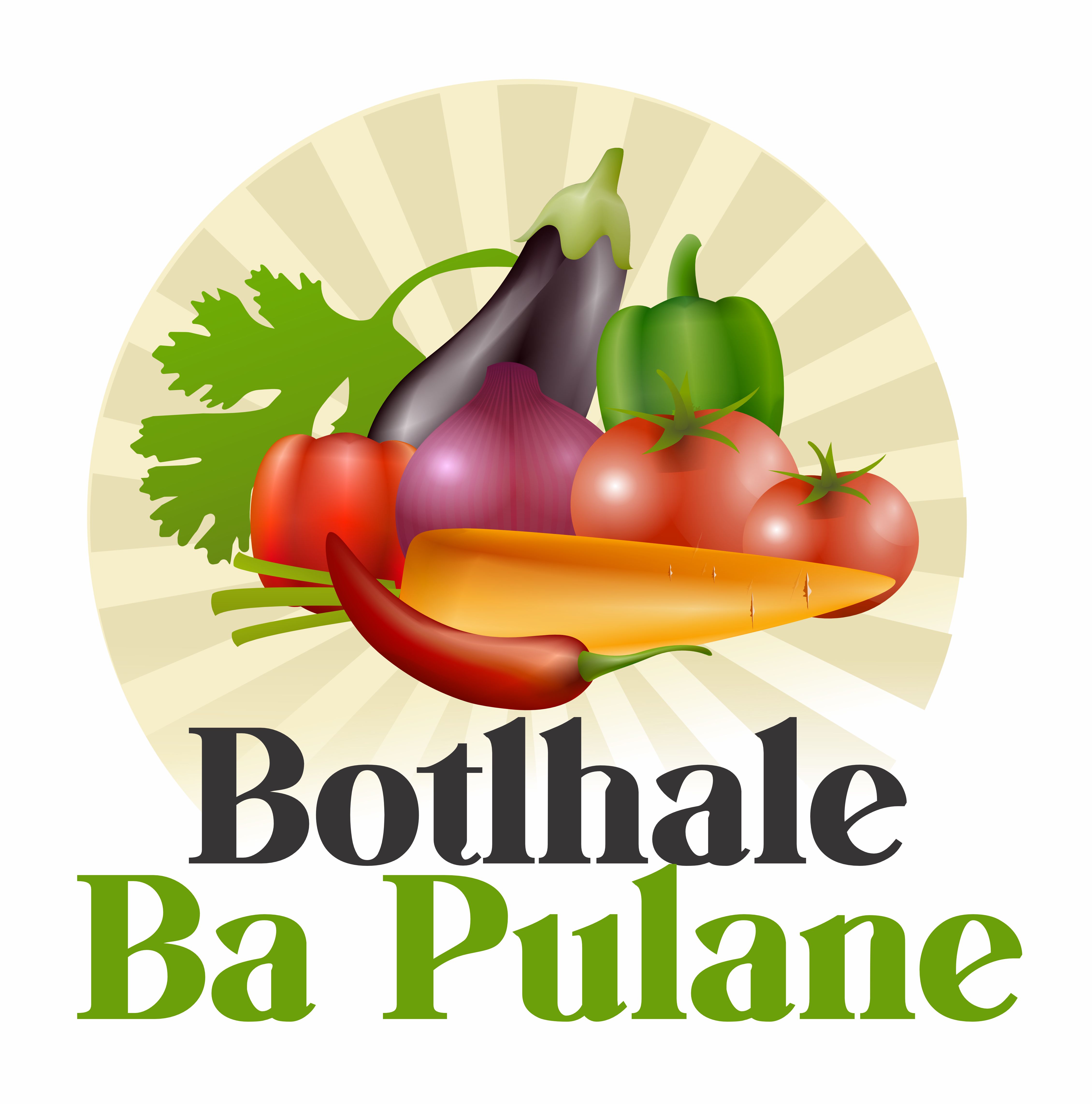 Botlhale Ba Pulane | Fresh Fruits, Vegetables & Meat in Soshanguve